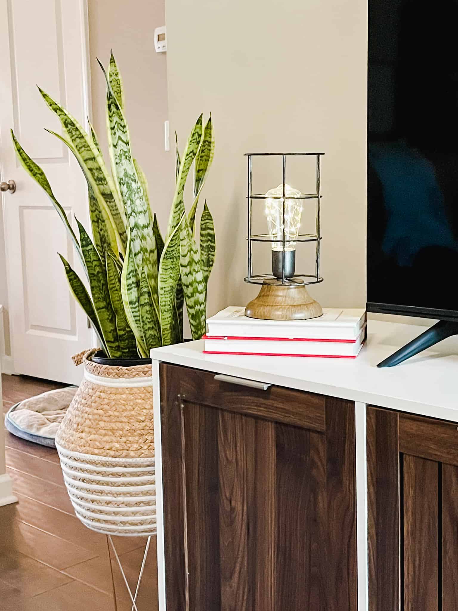 You’ll Love This DIY Painted Books Decor Idea